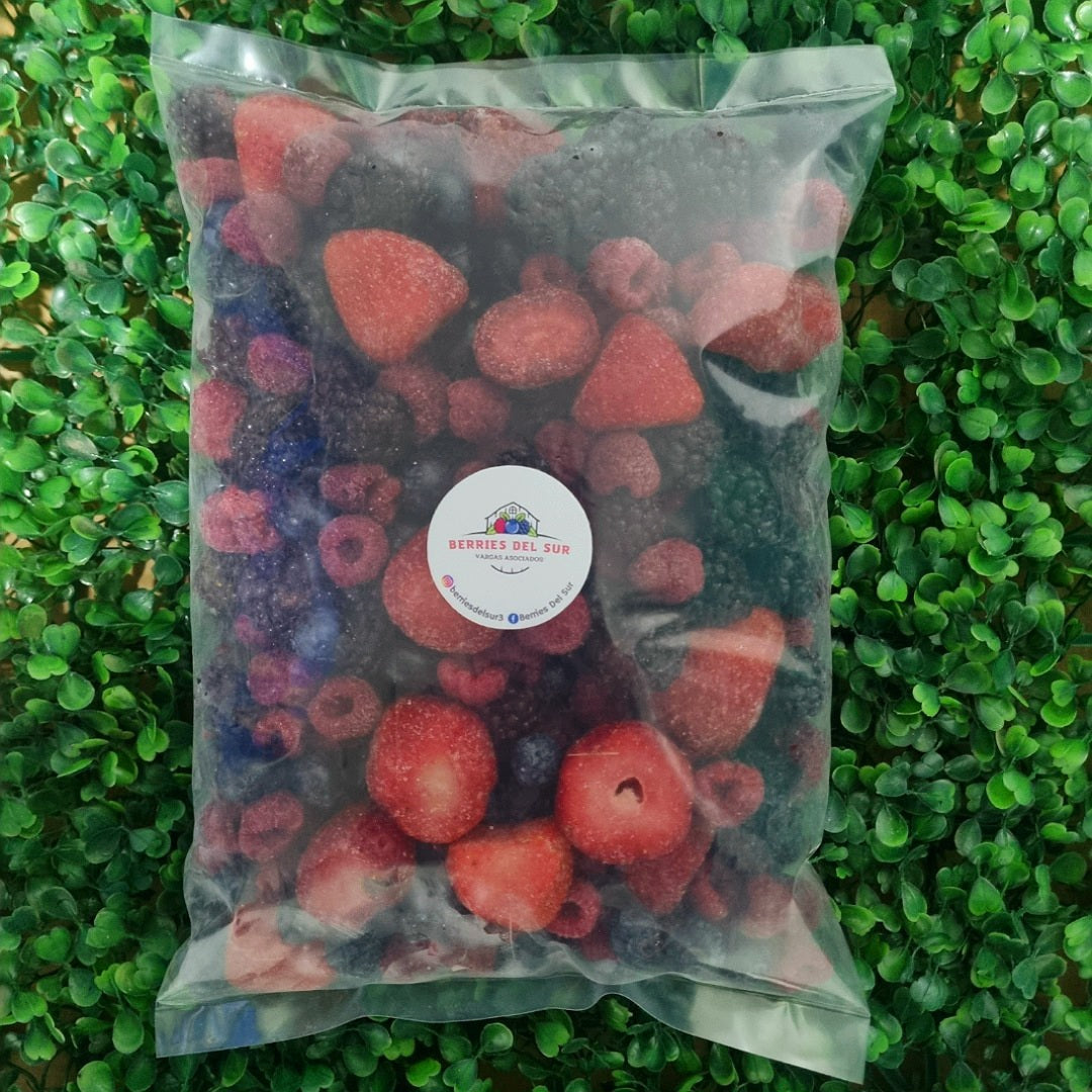 Mix de Berries Congelados – Berries del Sur